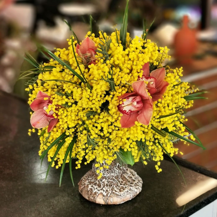 Mimoza Çiçeği çiçekçi, Mimoza Çiçeği çiçek gönder